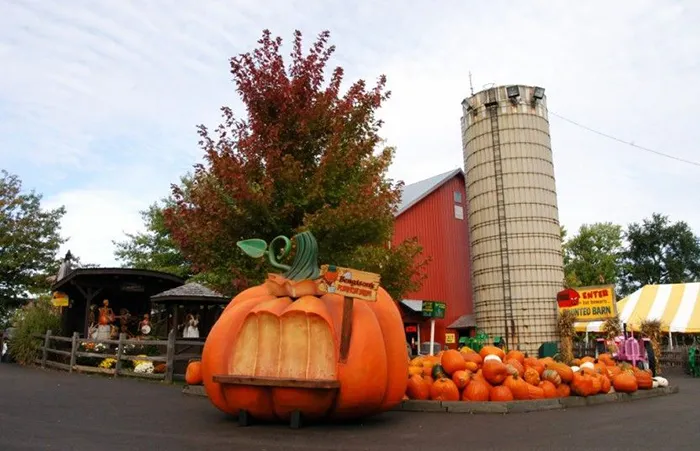 Bengtson's Pumpkin Farm and Fall Fest: A Must-Visit Destination